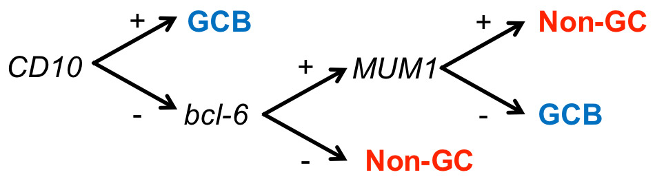Determination of the molecular subtypes of diffuse large B-cell ...